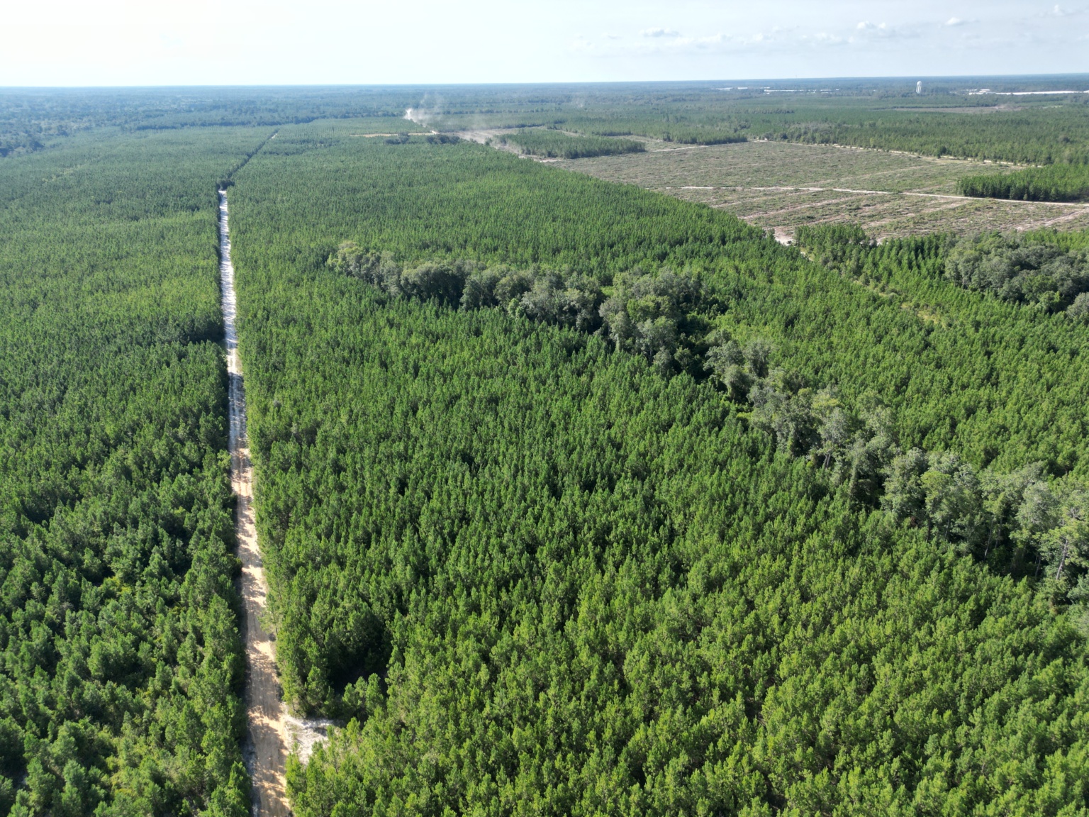Site Progress – Savannah Harbor-Interstate 16 Corridor Joint ...